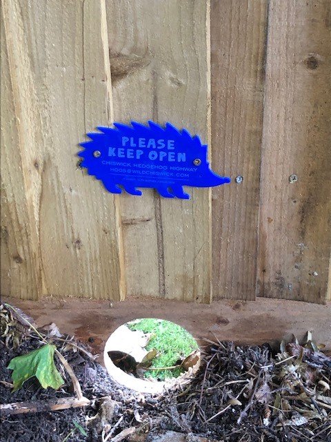 Builders merchants across UK now supply Hedgehog Friendly Fencing ...